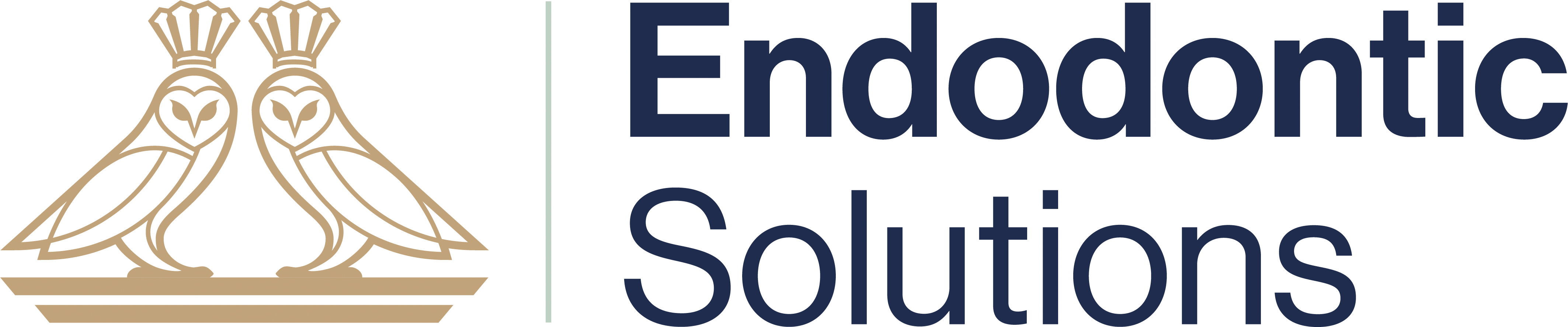 ENDODONTIC SOLUTIONS